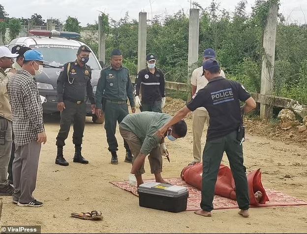 Body of glamorous South Korean influencer BJ Ahyeong is found dumped in ...